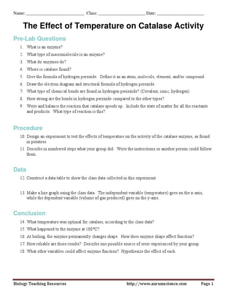 The Effect of Temperature On The Catalase Enzyme Lab | PDF