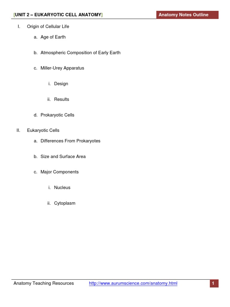 Eukaryotic Cell Anatomy and Membrane Dynamics Notes Outline | PDF ...