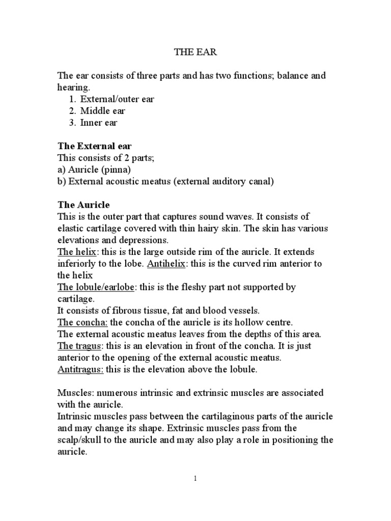 The Ear | PDF | Ear | Human Head And Neck