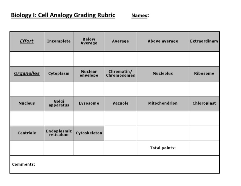 Cell Analogy Grading Rubric | PDF | Cell Nucleus | Cytoplasm