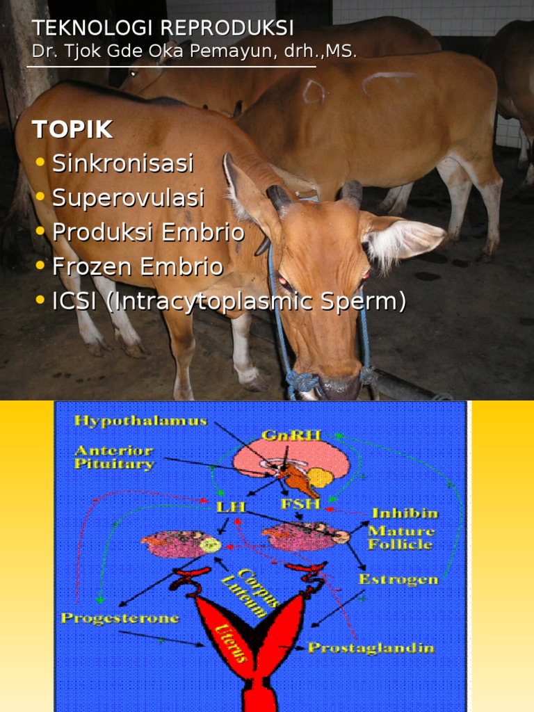 Teknologi Reproduksi Ternak | PDF