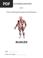 GCSE PE Muscular System Revision Guide | PDF | Anatomical Terms Of ...