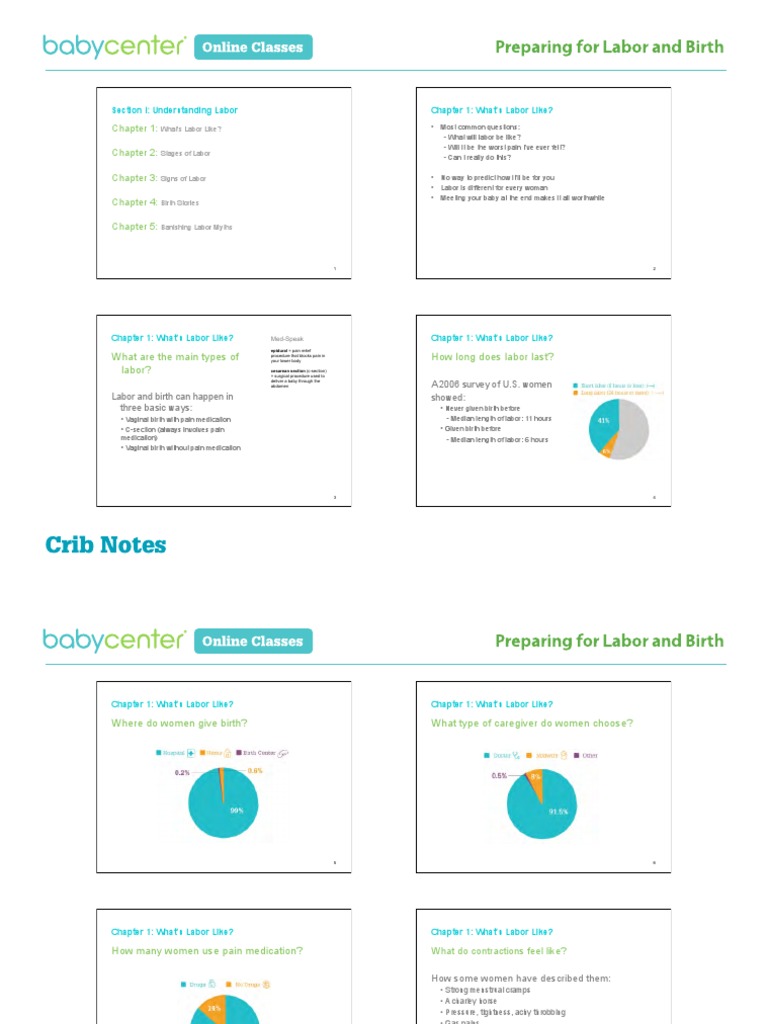 Crib Notes Preparing For Labor and Birth | PDF | Caesarean Section ...