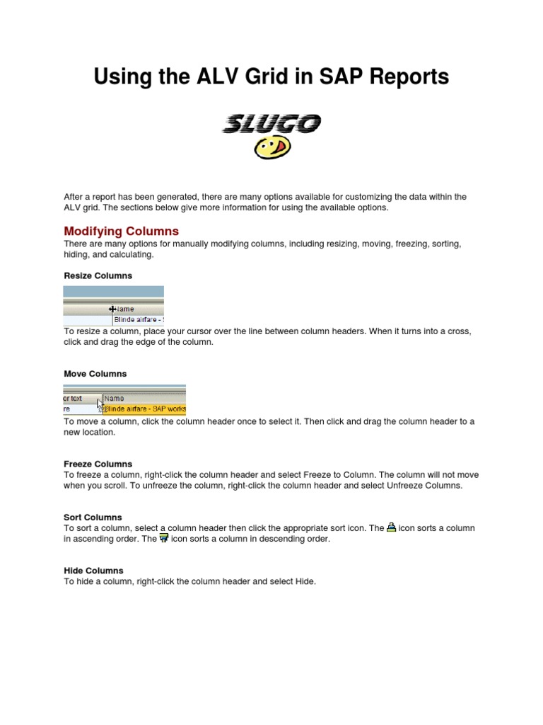 Customize Alv Grid Reports In Sap Pdf