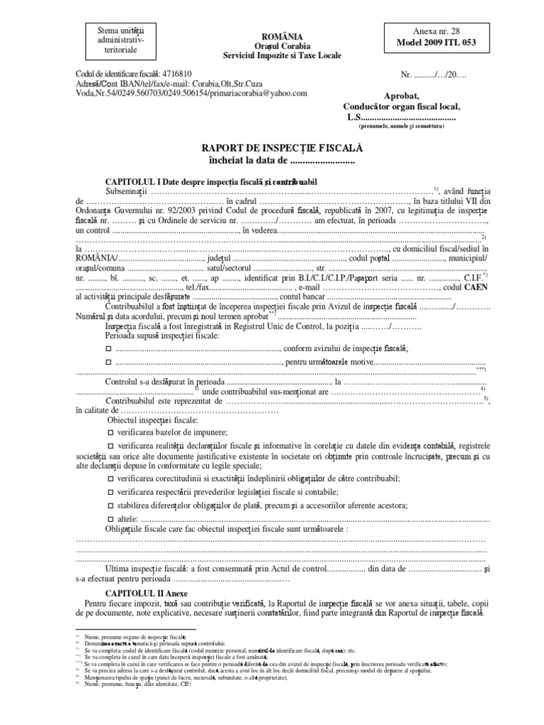 Raport de Inspectie Fiscala | PDF