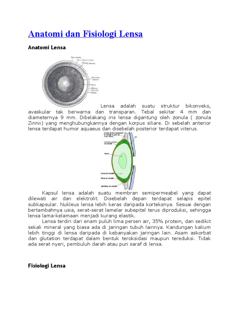 Anatomi Dan Fisiologi Lensa | PDF