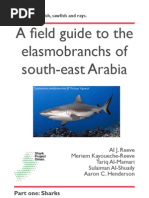 NOAA Shark Identification Placards | PDF | Sharks | Vertebrates