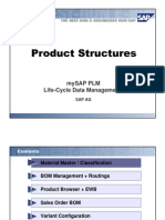Steps in SAP Roll Out Project Process | PDF | Business