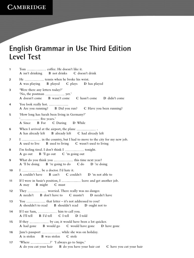 English Grammar in Use Third Edition | PDF
