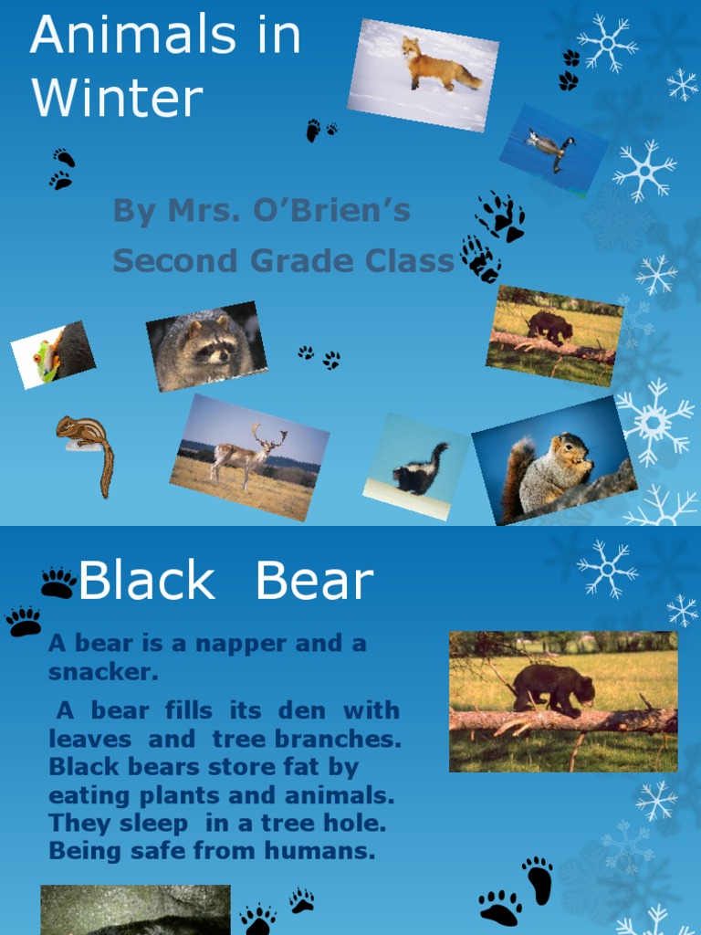 Animals in Winter | PDF