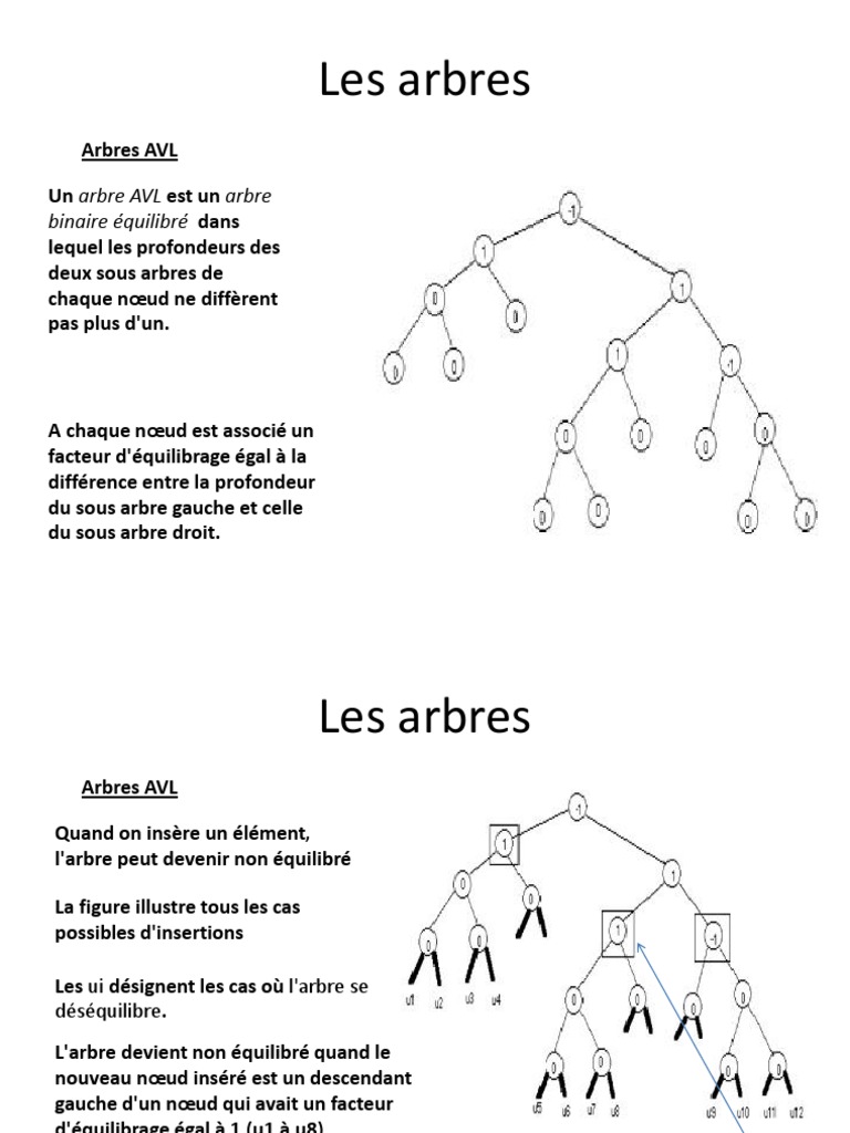 Arbres AVL Et RB | PDF | Enseignement des mathématiques | Science