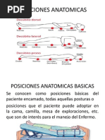 Posicion Flower Semiflower | PDF