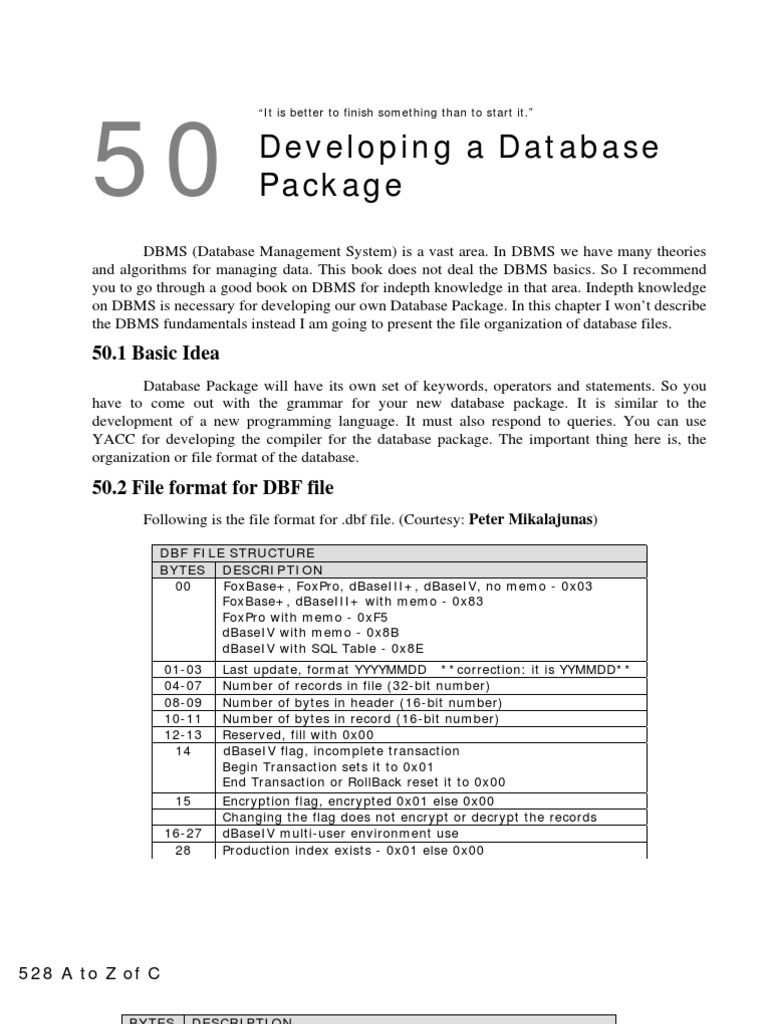 Developing A Database Package: 50.1 Basic Idea | PDF | Database ...