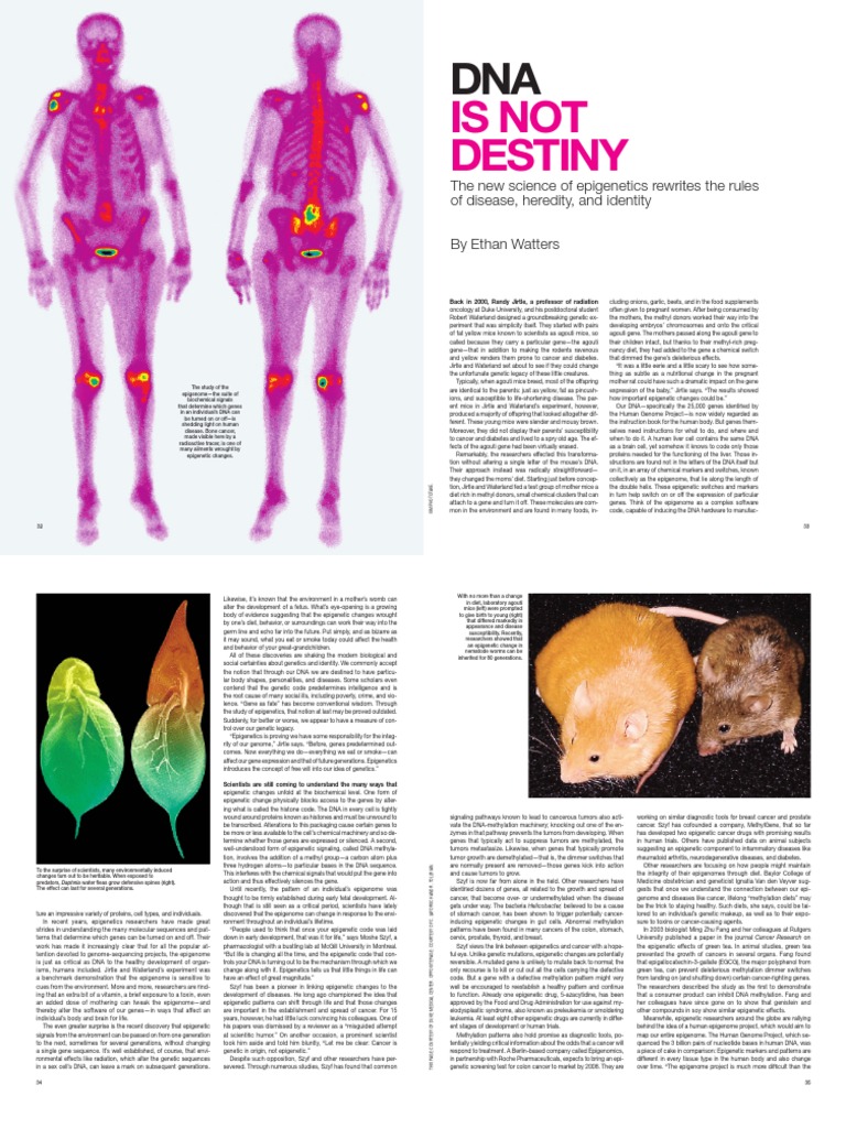 DNA Is Not Destiny | PDF | Epigenetics | Cancer