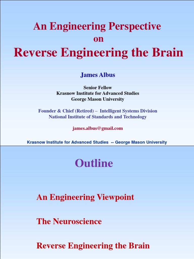 Reverse Engineering Brain | PDF | Brain | Cerebral Cortex