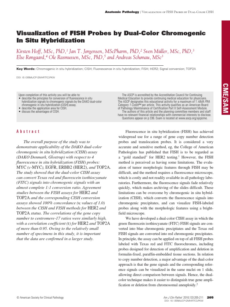 Visualization of FISH Probes by Dual-Color Chromogenic in Situ ...