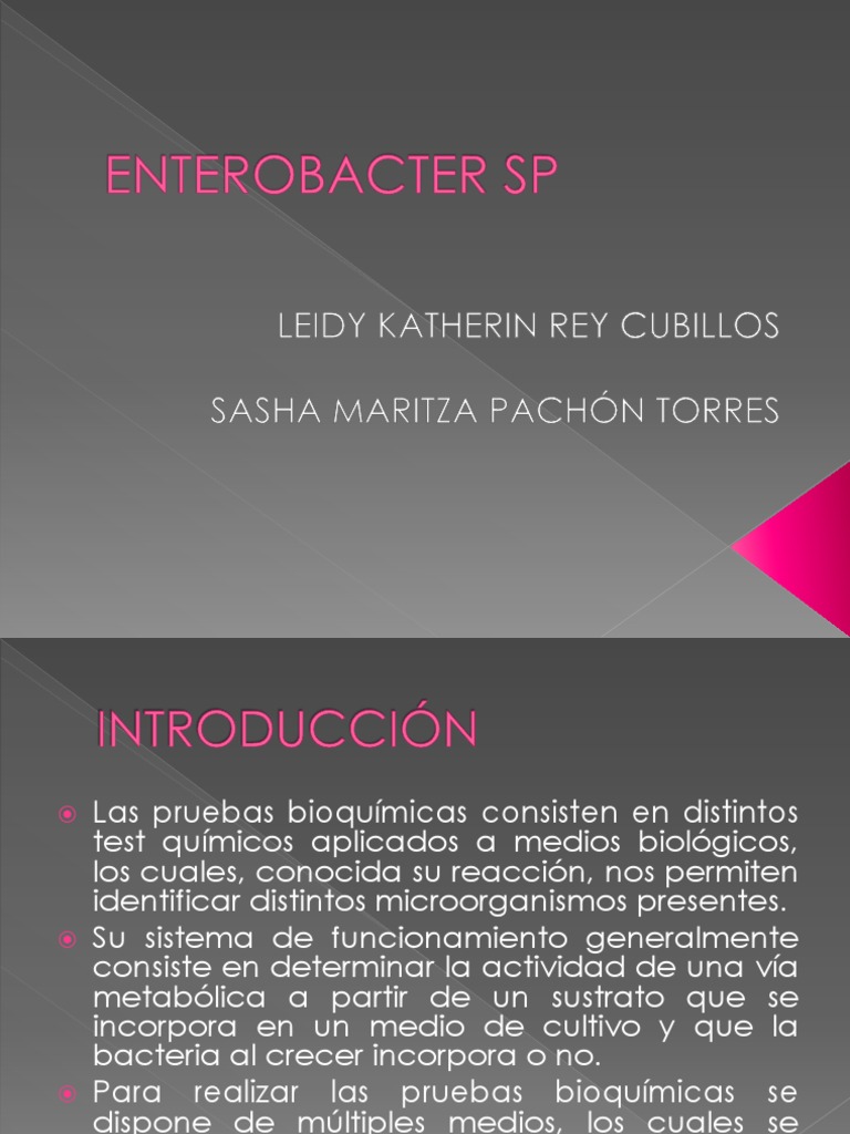Enterobacter SP | PDF | Patologia clinica | Química