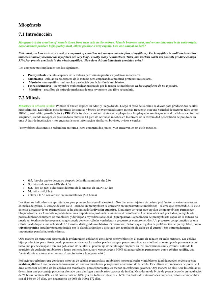 Miogénesis - Docx Español | PDF | Músculo | Hueso