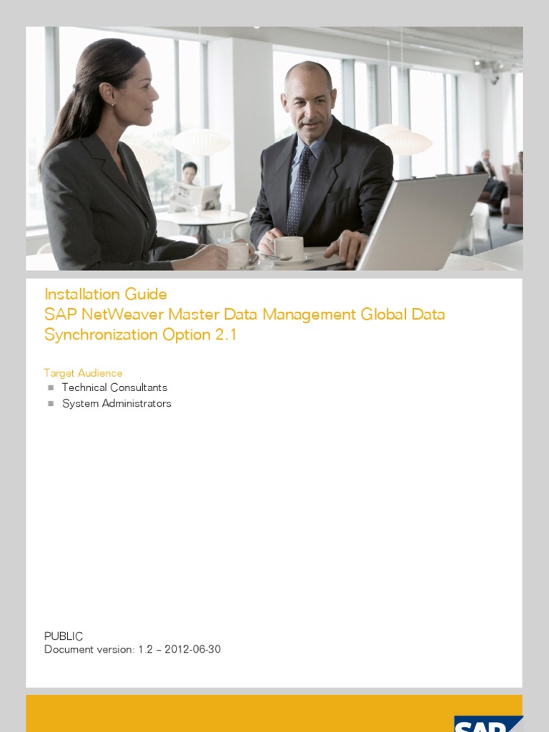 SAP Master Data Management Guide | PDF | Sap Se | Command Line Interface
