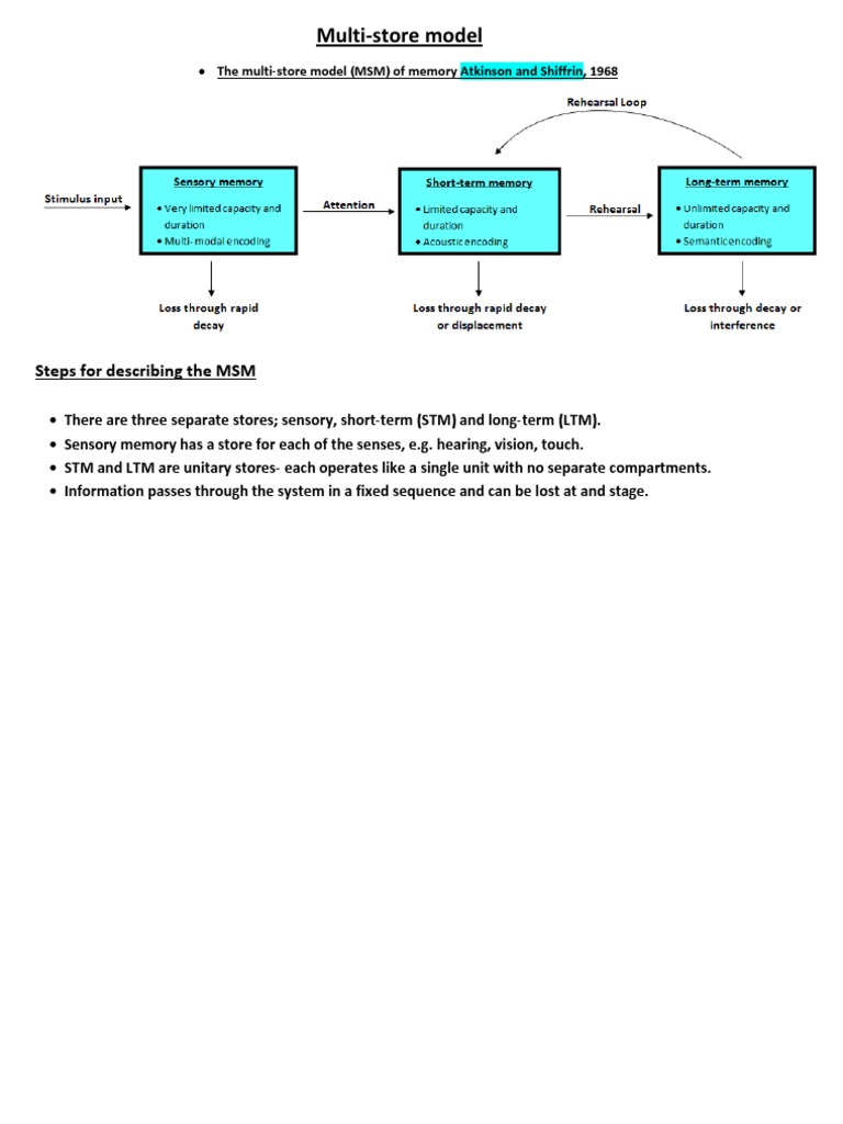 Multistore Model | PDF | Social Science | Computers