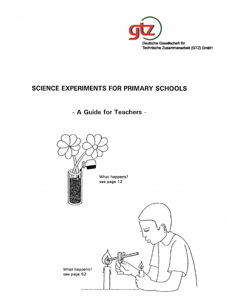 Science Experiments For Primary Schools | PDF | Taste | Seed