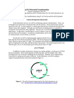 Bacterial Transformation Lab Report | PDF | Plasmid | Transformation ...