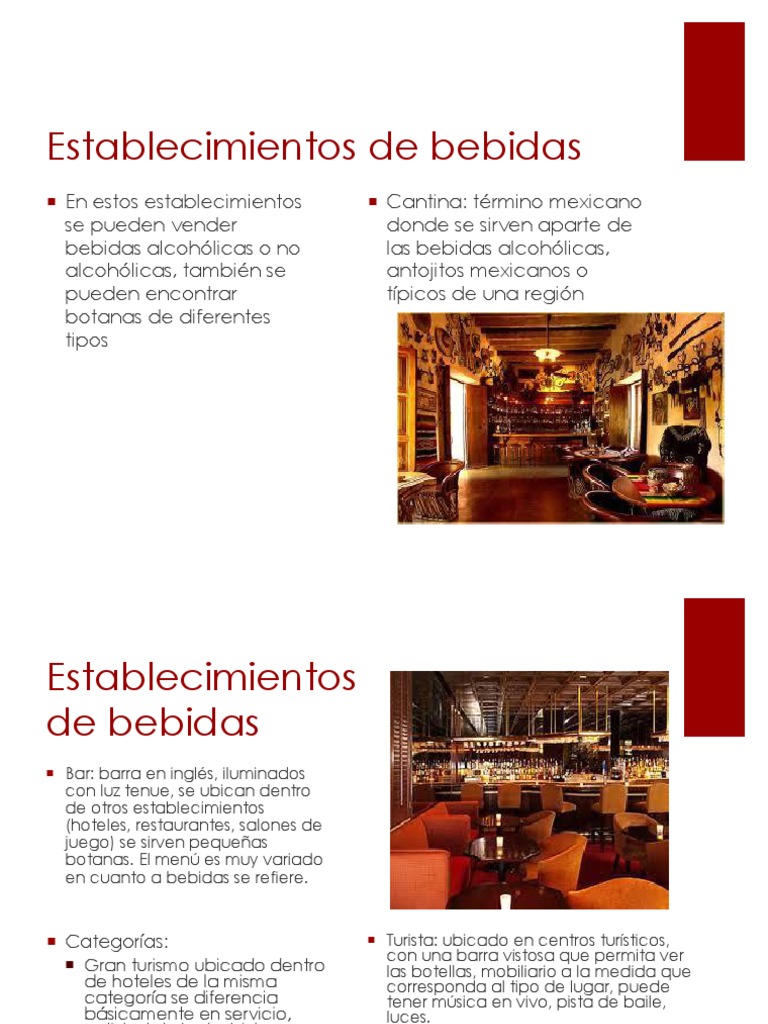 Tipos de Establecimientos de Bebidas | PDF | Bar | pub