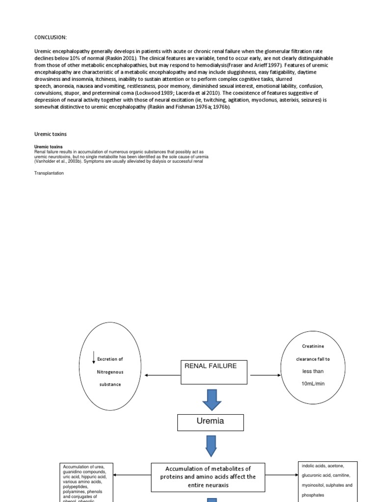 Pathophysiology of Uremic Encephalopathy | PDF | Diseases And Disorders | Organ (Anatomy)