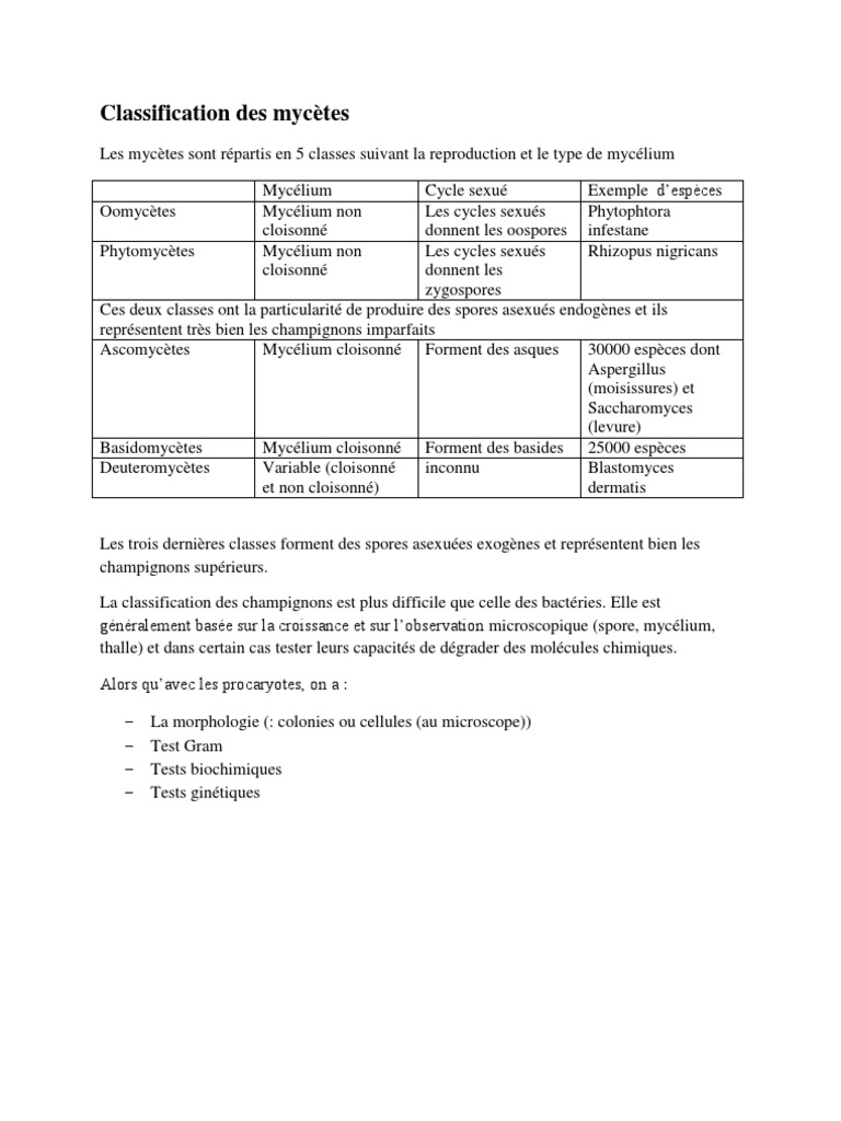 Classification Des Mycètes | PDF