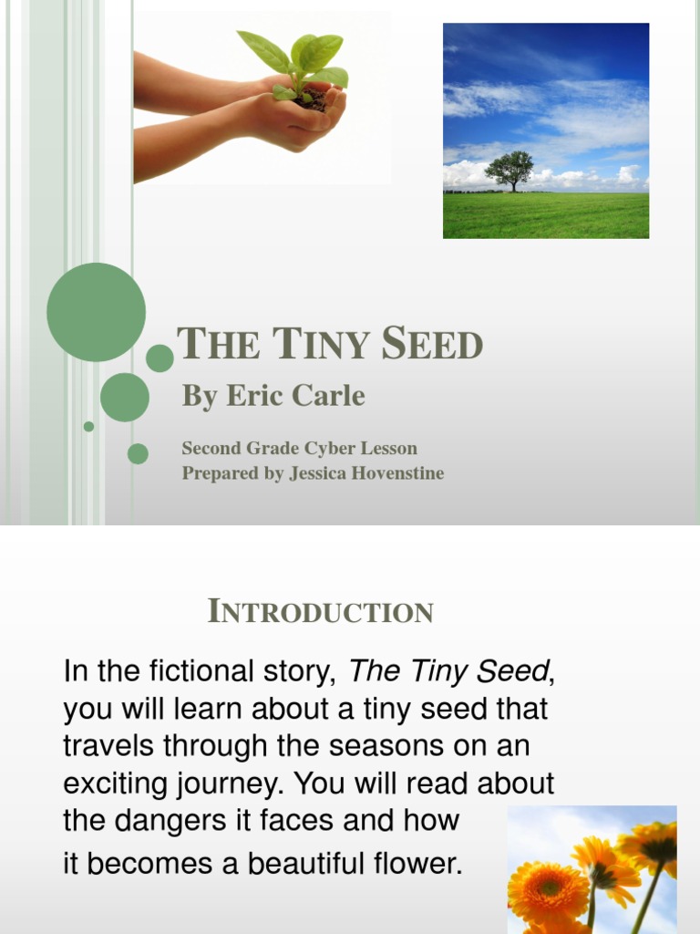 The Tiny Seed Lesson Plan | PDF | Learning | Communication
