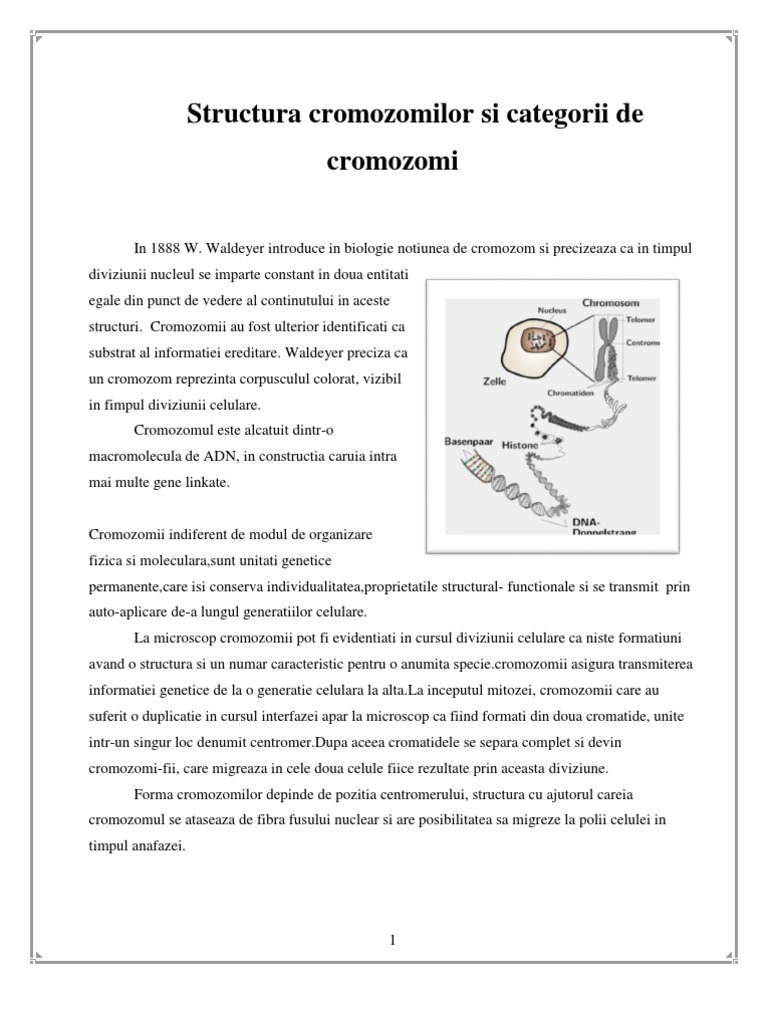 Cromozomii | PDF