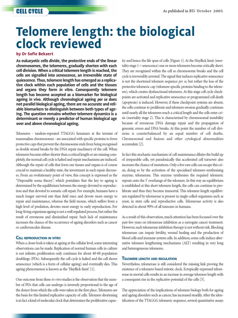 Telomere Length The Biological Clock Reviewed | PDF | Telomere | Senescence