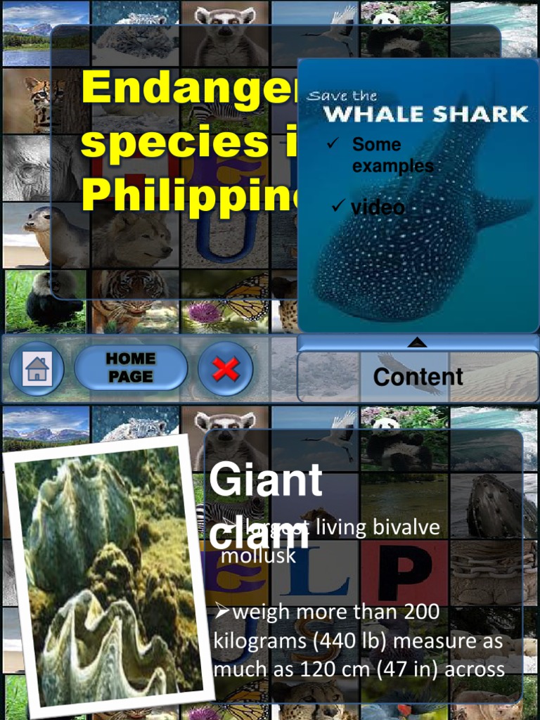 Some Endangered Species in The Philippines | PDF | Endangered Species ...