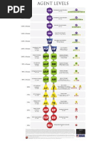 Amway Pin Levels | PDF | Minerals | Nature