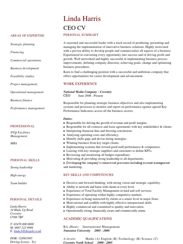 CEO CV Template | PDF | Leadership | Innovation