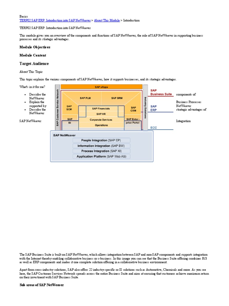 Introduction To SAP NetWeaver Overview | PDF | Sap Se | Application Server
