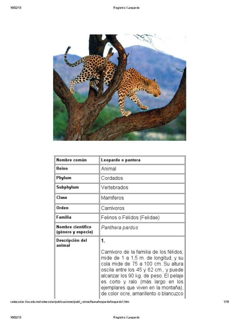 Registro - Leopardo | PDF | Leopardo | Felidae