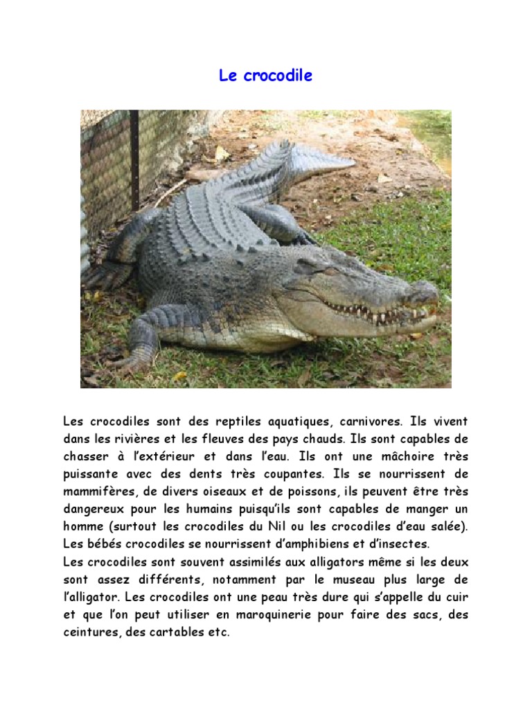Le Crocodile Activité | PDF