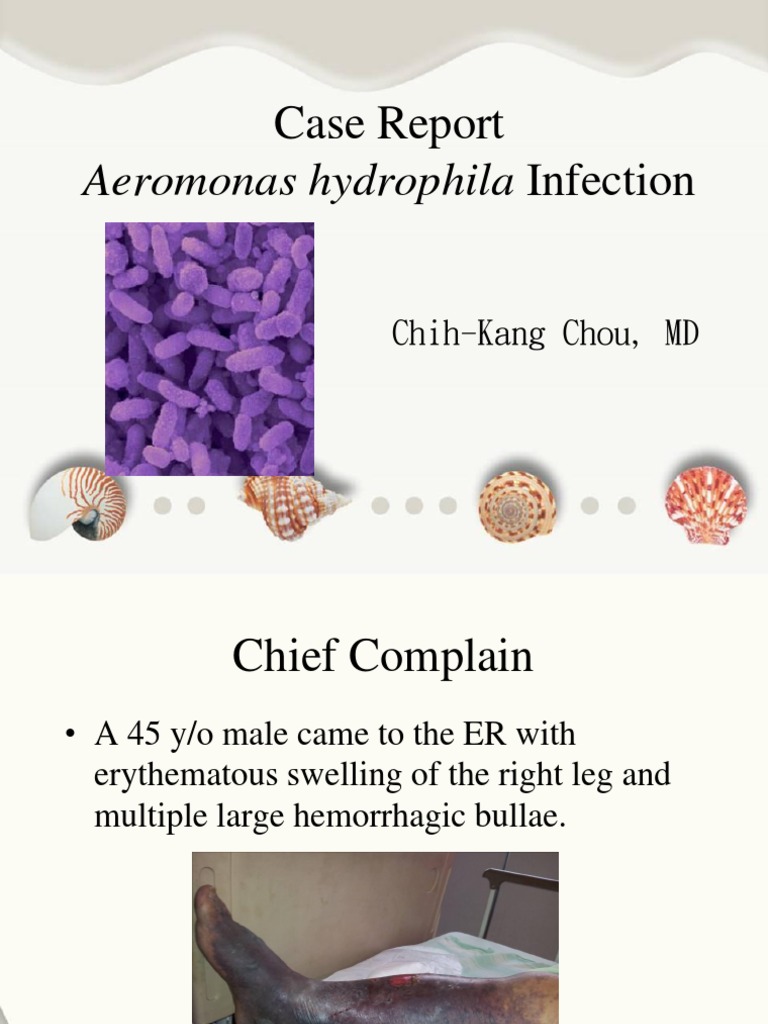 Aeromonas Infection.ppt | Sepsis | Diseases And Disorders