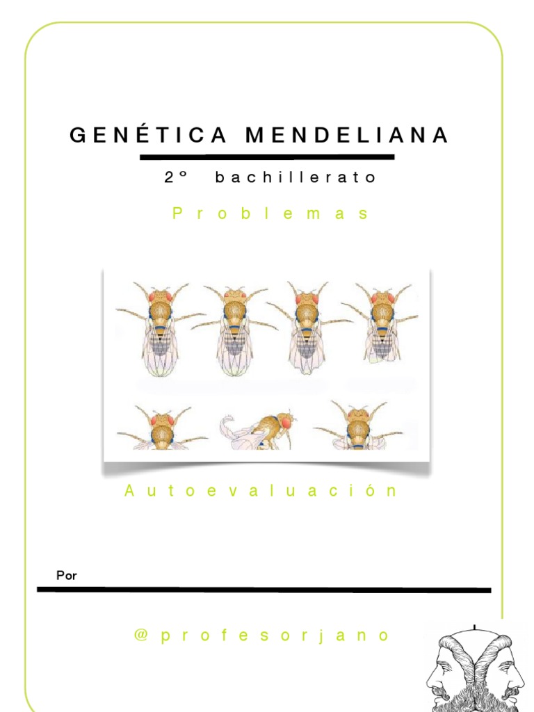 Colección Genetica Mendeliana Ejercicios PDF | PDF | Dominancia ...