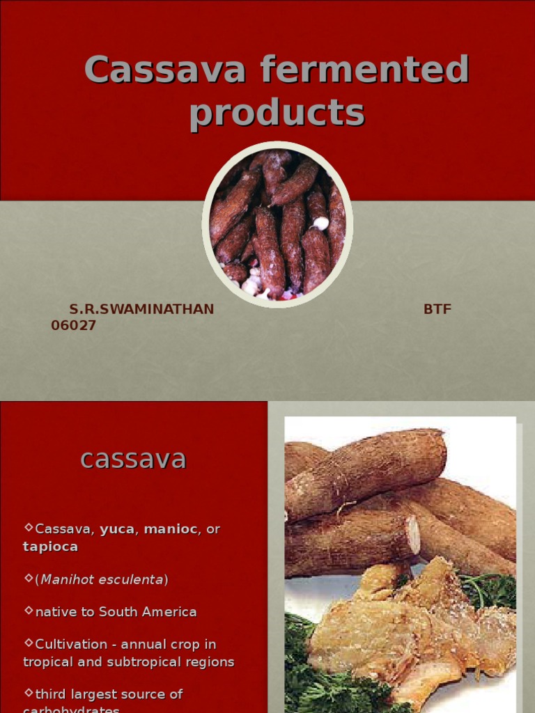 Fermented Cassava Products | PDF | Foods | Food And Drink