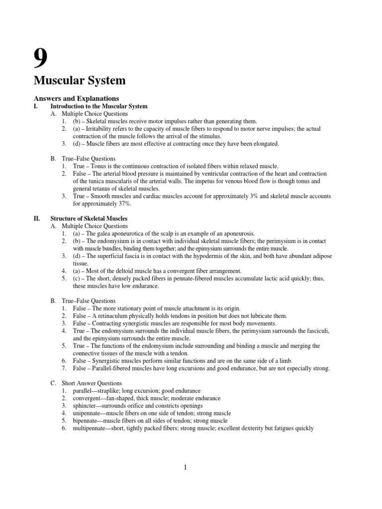 Muscular System Study Guide | PDF