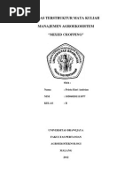 Proyeksi Peta UTM dan WGS di Indonesia | PDF | Metode & Bahan Ajar ...