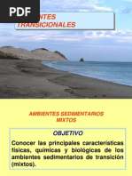 Bordes Transformantes | PDF | Placas tectónicas | Falla (geología)