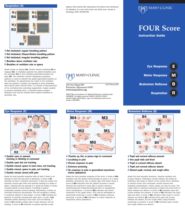 FOUR Score Instruction Guide For Application On MISH ICU | PDF | Cornea ...