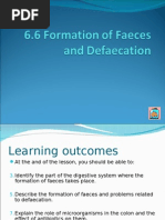 Formation of Faeces and Defaecation | PDF