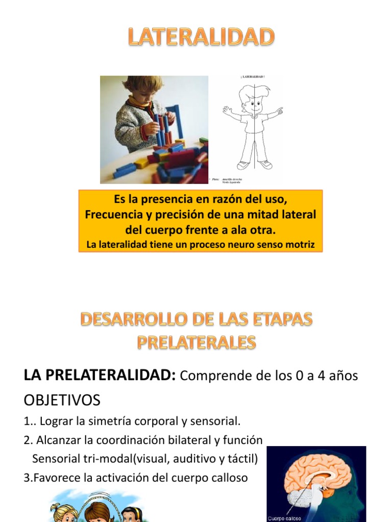 Los procesos de lateralización y sus trastornos asociados | PDF ...
