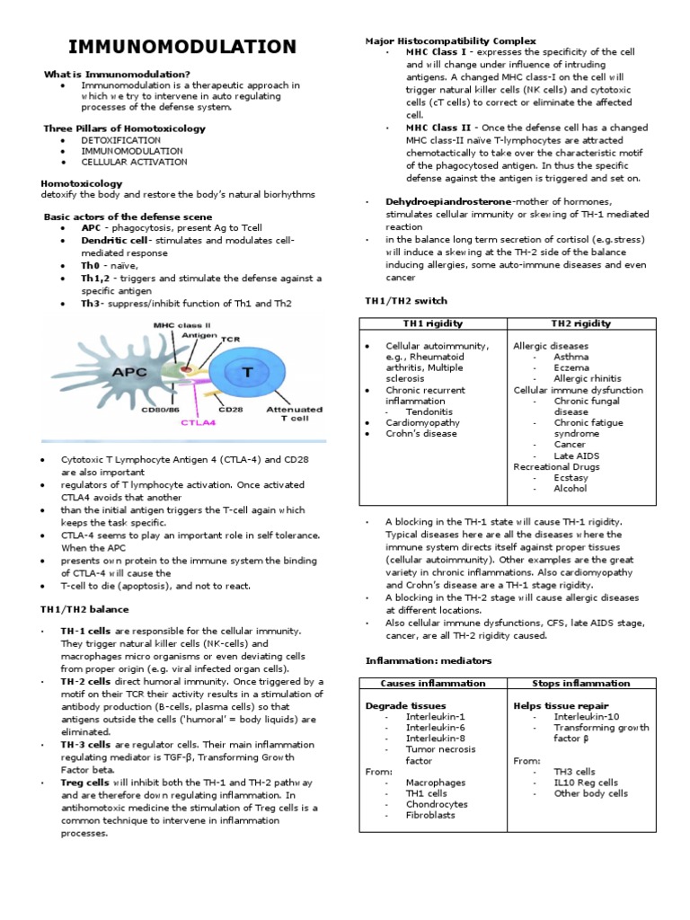Understanding Immunomodulation and Immunodeficiencies | PDF | T Helper Cell | Immunodeficiency