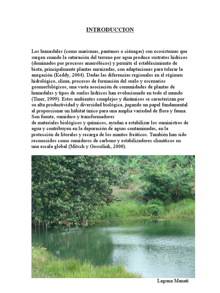 Importancia y Conservación de Humedales | PDF | Humedal | Pantano