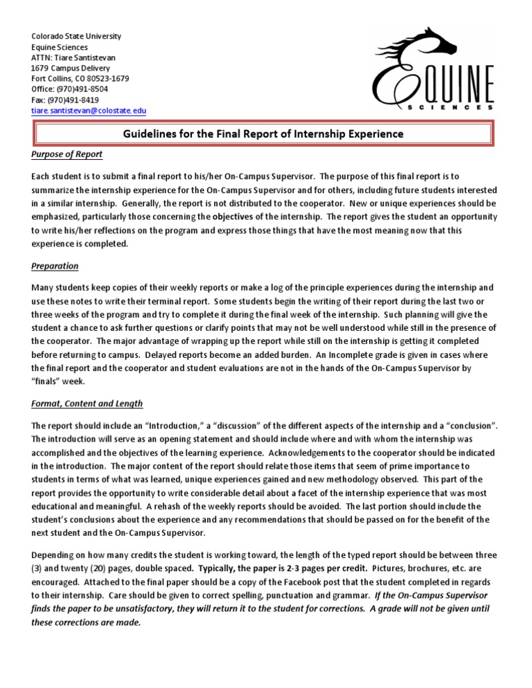 Guidelines For Final Report | PDF | Internship | Job Hunting